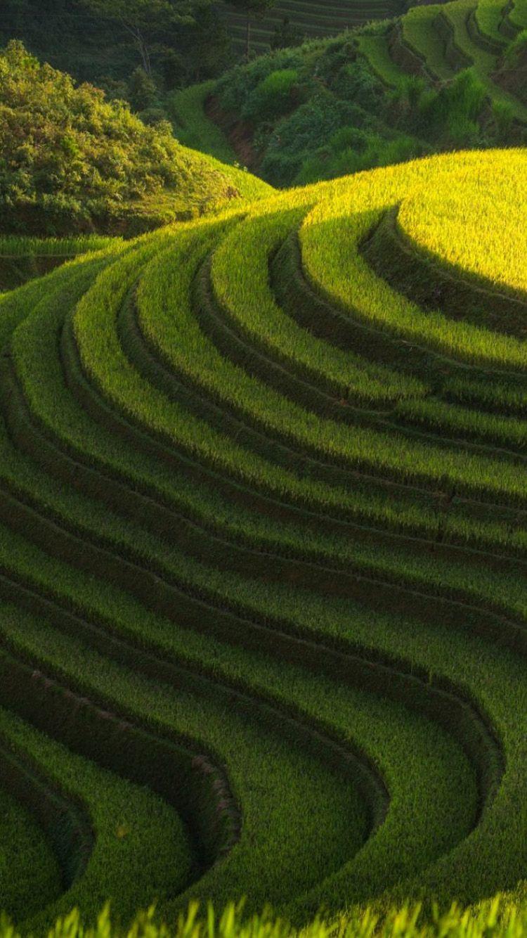 Farm Phone Wallpapers - Top Free Farm Phone Backgrounds - WallpaperAccess