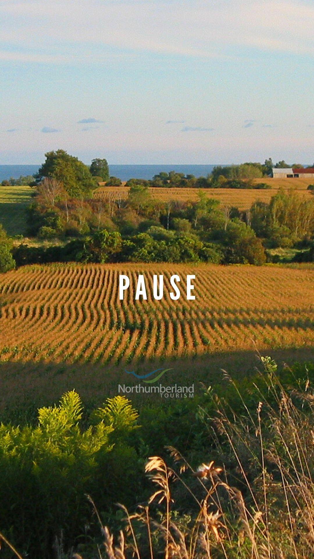 Farm Phone Wallpapers - Top Free Farm Phone Backgrounds - WallpaperAccess