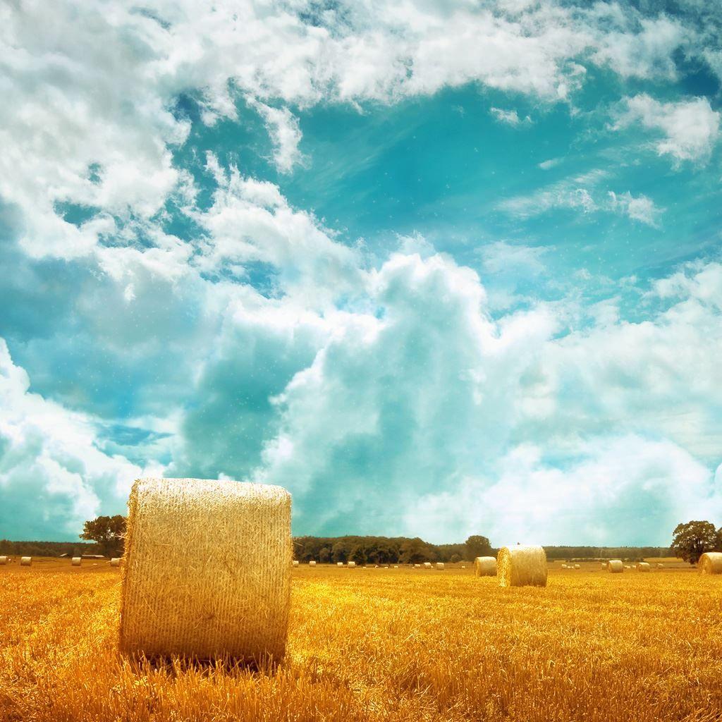 Farming iPhone Wallpapers - Top Free Farming iPhone Backgrounds ...