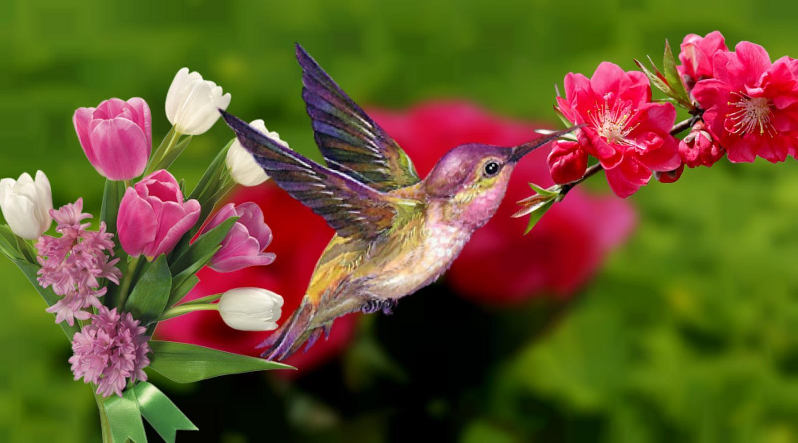 Flowers Birds Wallpapers - Top Free Flowers Birds Backgrounds ...