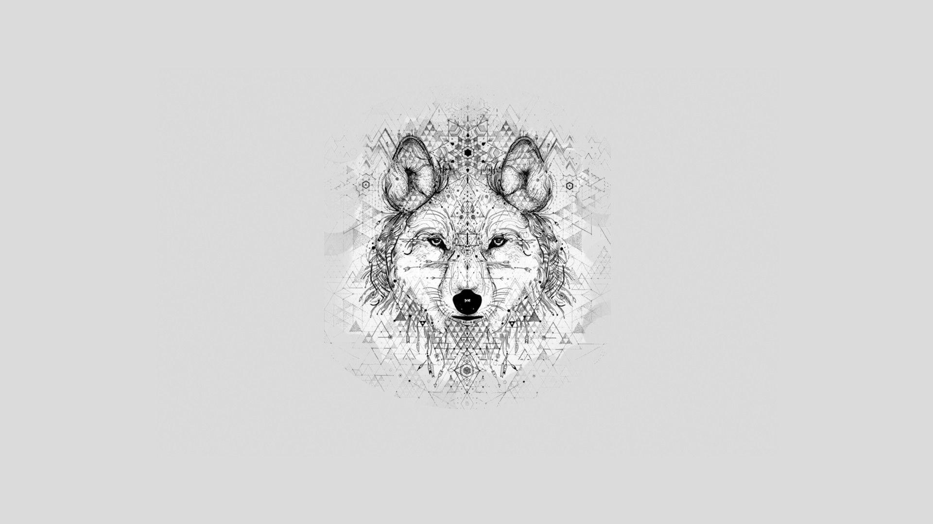 Wolf Drawing Wallpapers - Top Free Wolf Drawing Backgrounds ...