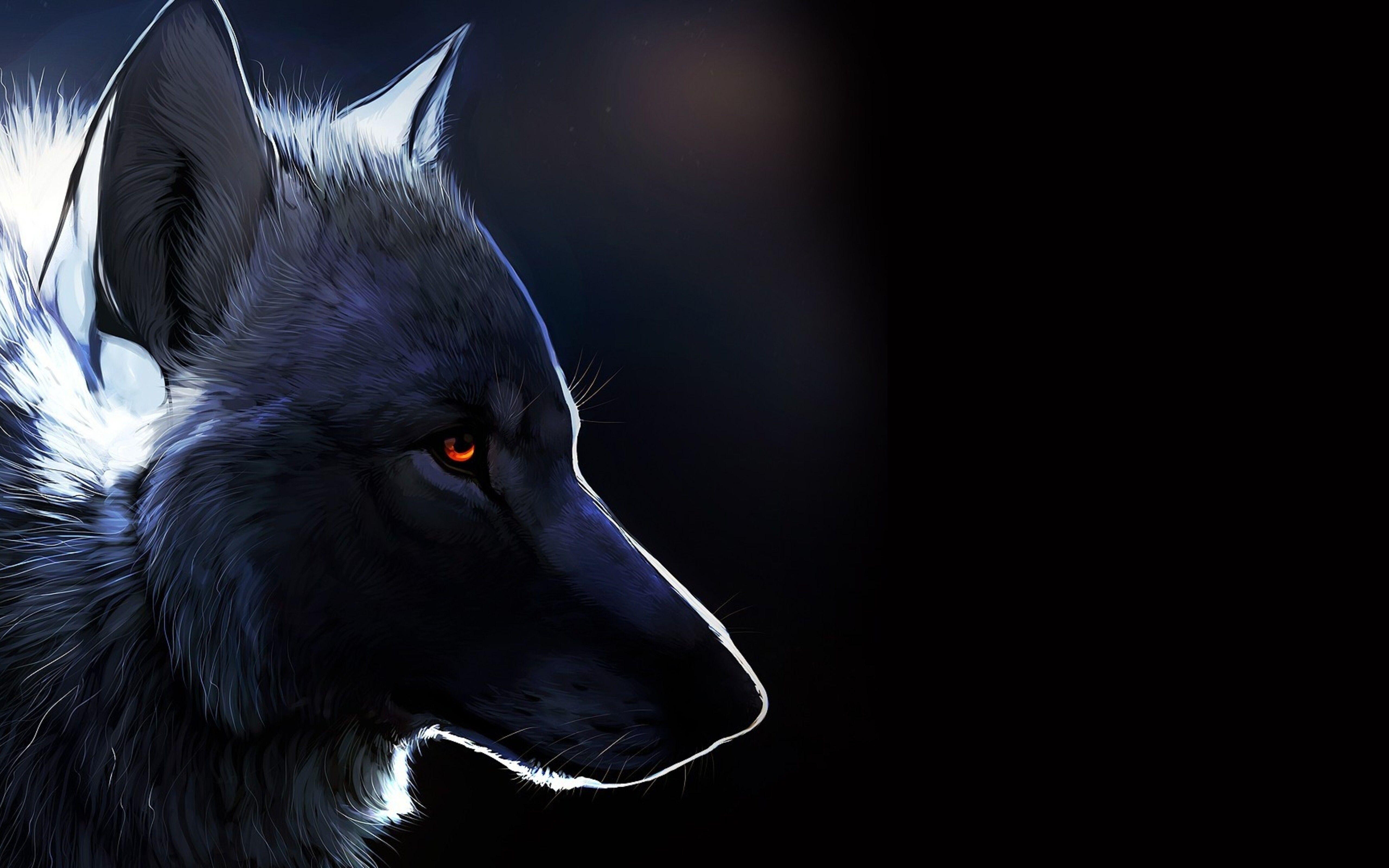 Wolf Drawing Wallpapers - Top Free Wolf Drawing Backgrounds ...