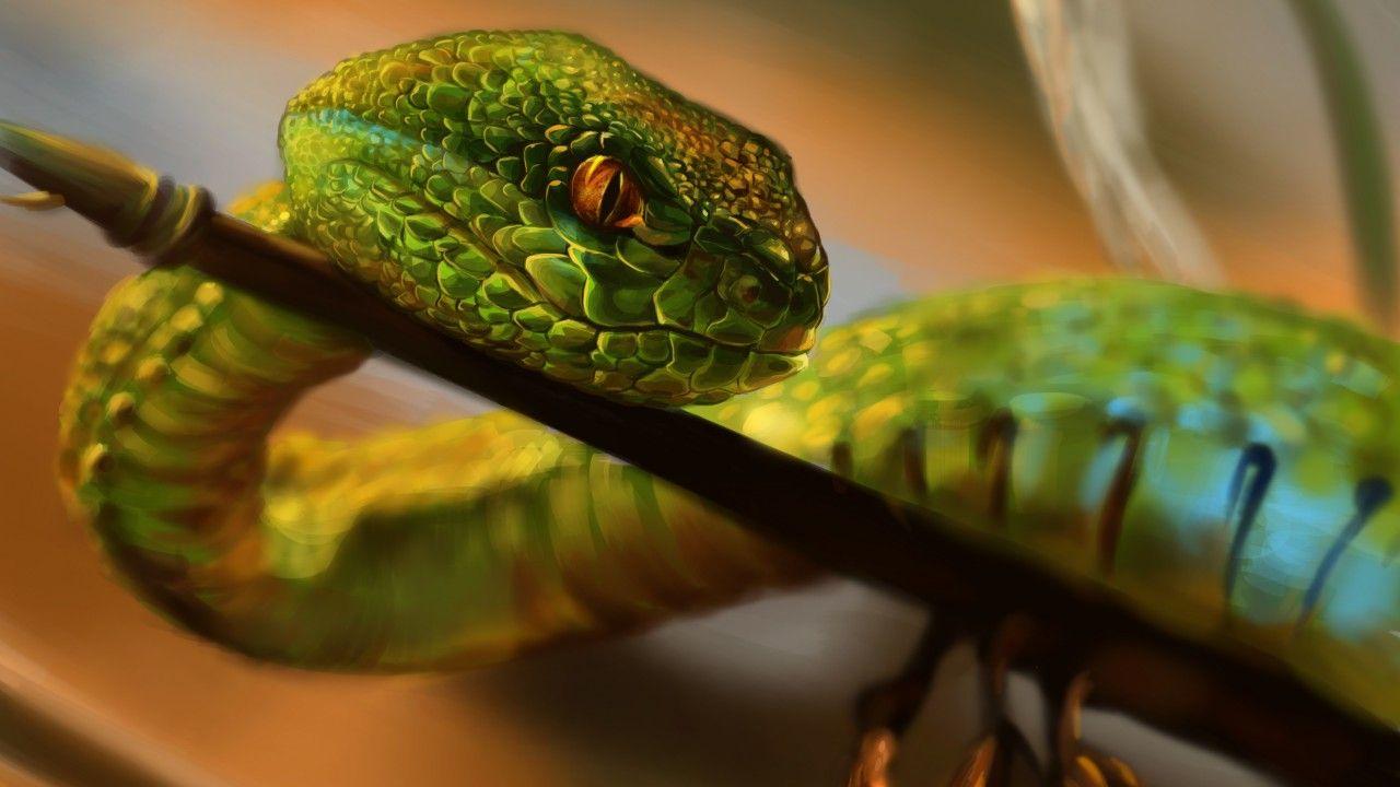 Snake Face Wallpapers - Top Free Snake Face Backgrounds - WallpaperAccess