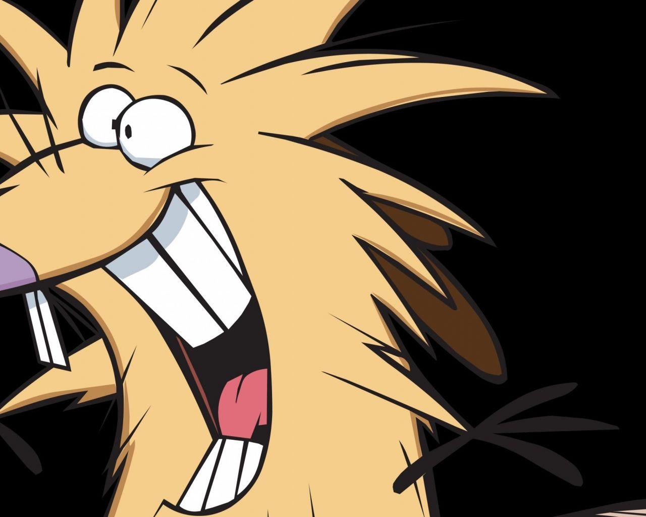 Angry Beavers Wallpapers - Top Free Angry Beavers Backgrounds ...