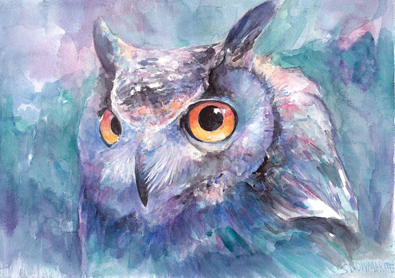 Owl Painting Wallpapers - Top Free Owl Painting Backgrounds ...
