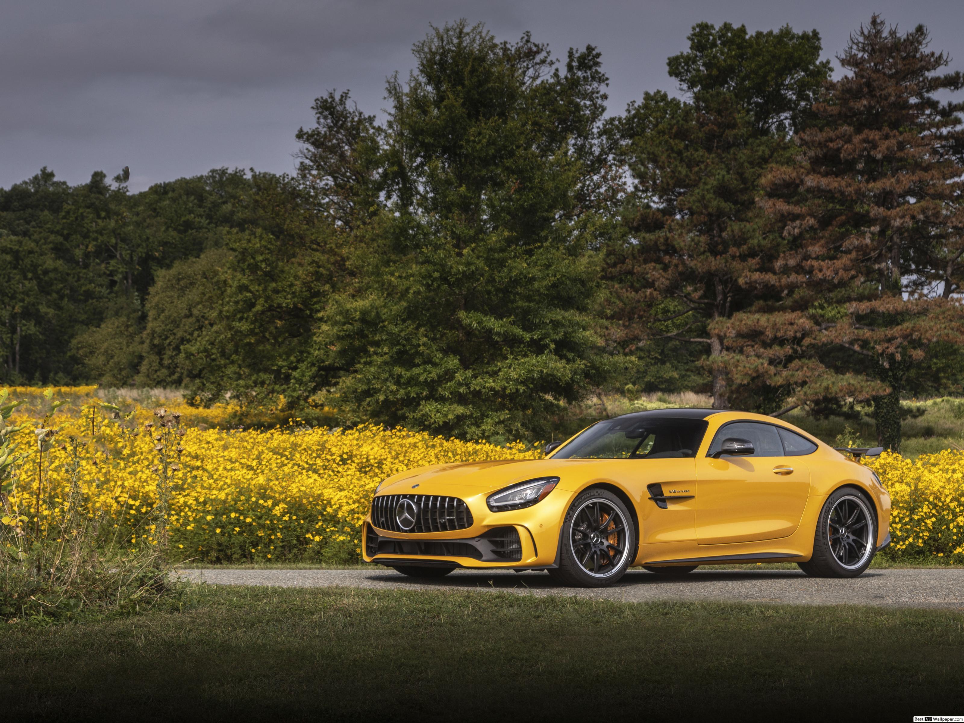 Mercedes AMG GTR Wallpapers - Top Free Mercedes AMG GTR Backgrounds ...