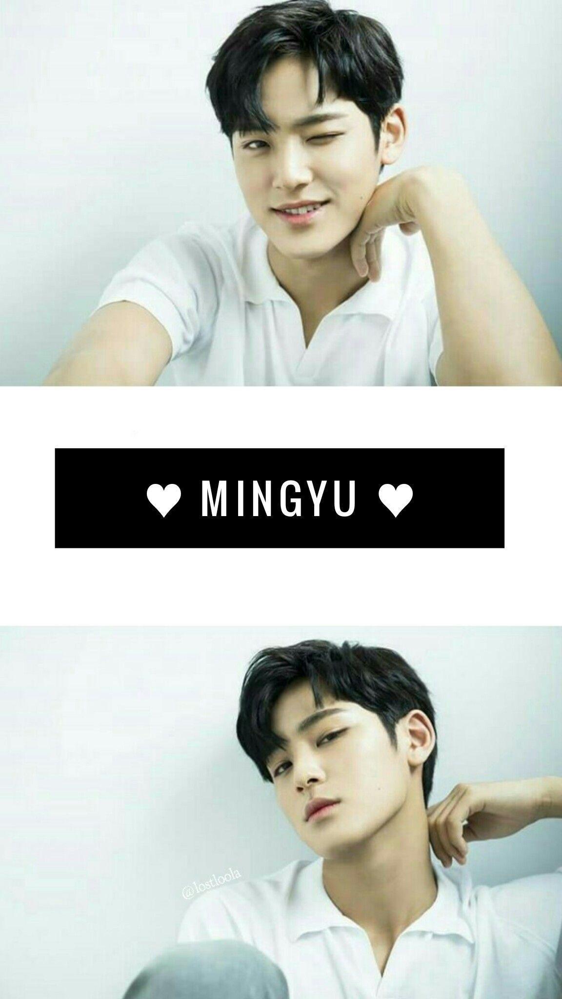 Seventeen Mingyu Wallpapers - Top Free Seventeen Mingyu Backgrounds - WallpaperAccess