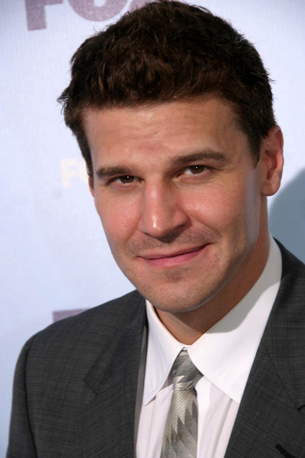 David Boreanaz Wallpapers - Top Free David Boreanaz Backgrounds ...