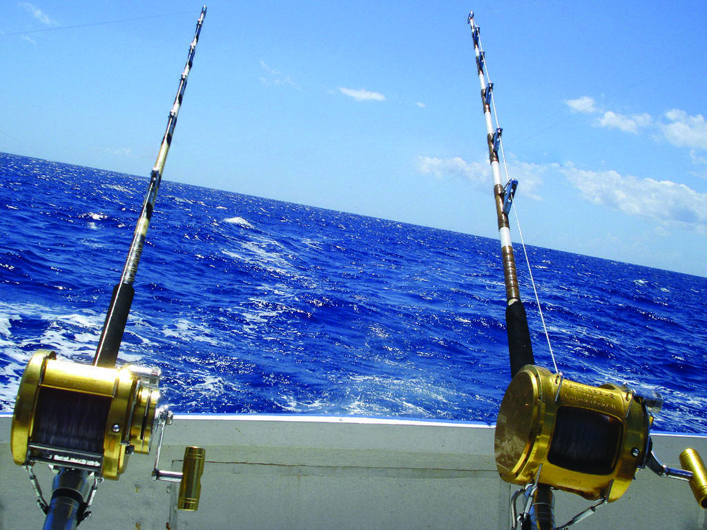 Deep Sea Fishing Wallpapers - Top Free Deep Sea Fishing Backgrounds ...