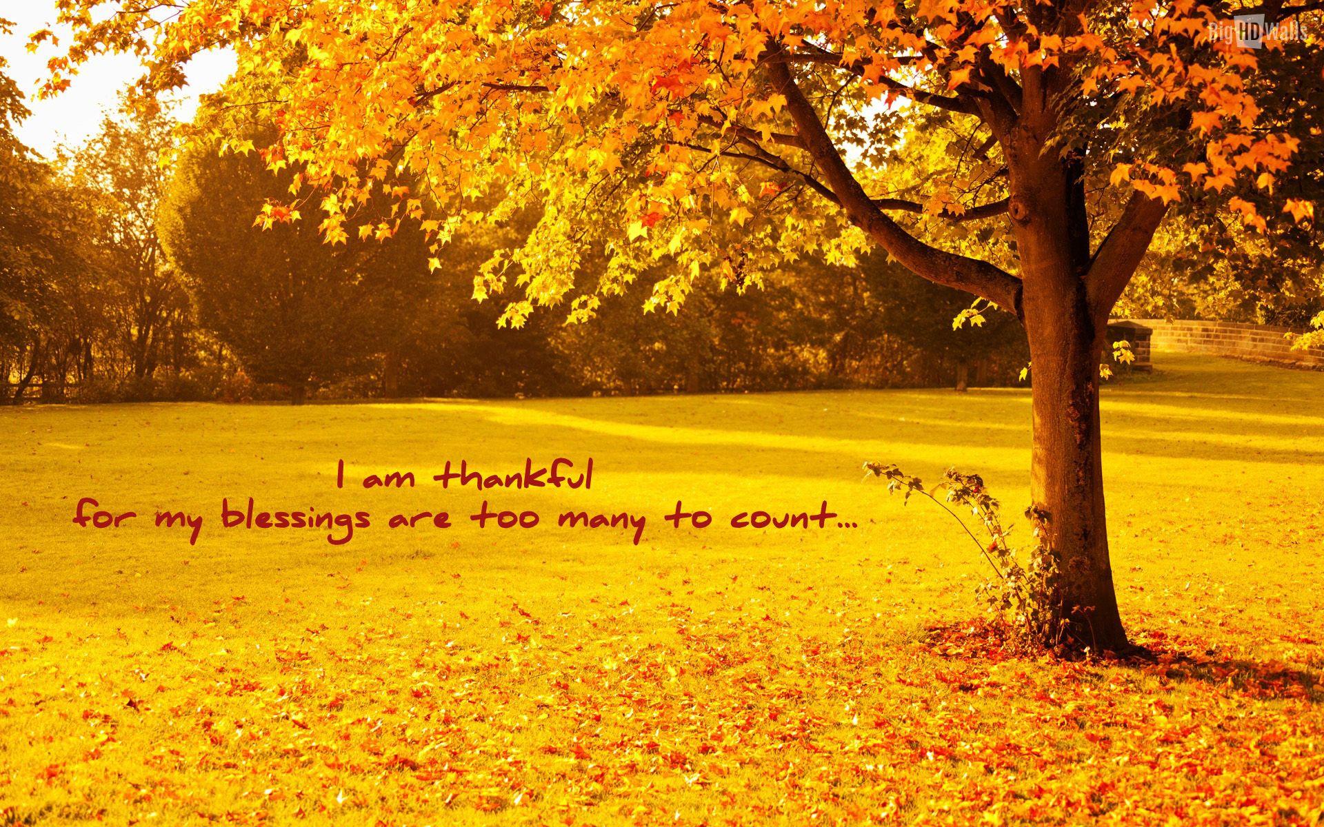Thanksgiving Scenes Desktop Wallpapers - Top Free Thanksgiving Scenes ...