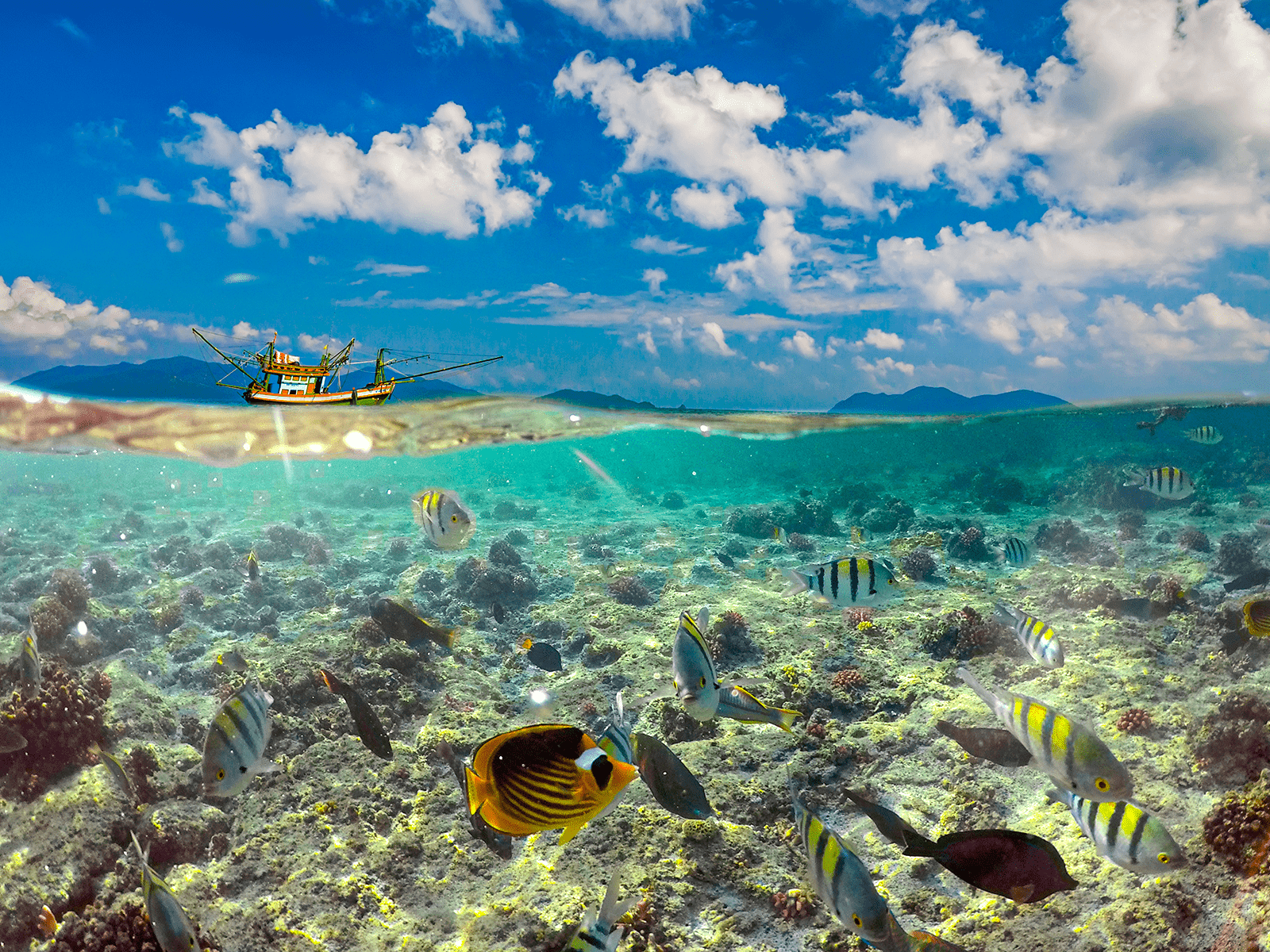 Deep Sea Fishing Wallpapers - Top Free Deep Sea Fishing Backgrounds ...