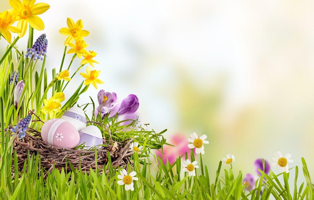 Happy Easter Flowers Desktop Wallpapers - Top Free Happy Easter Flowers ...