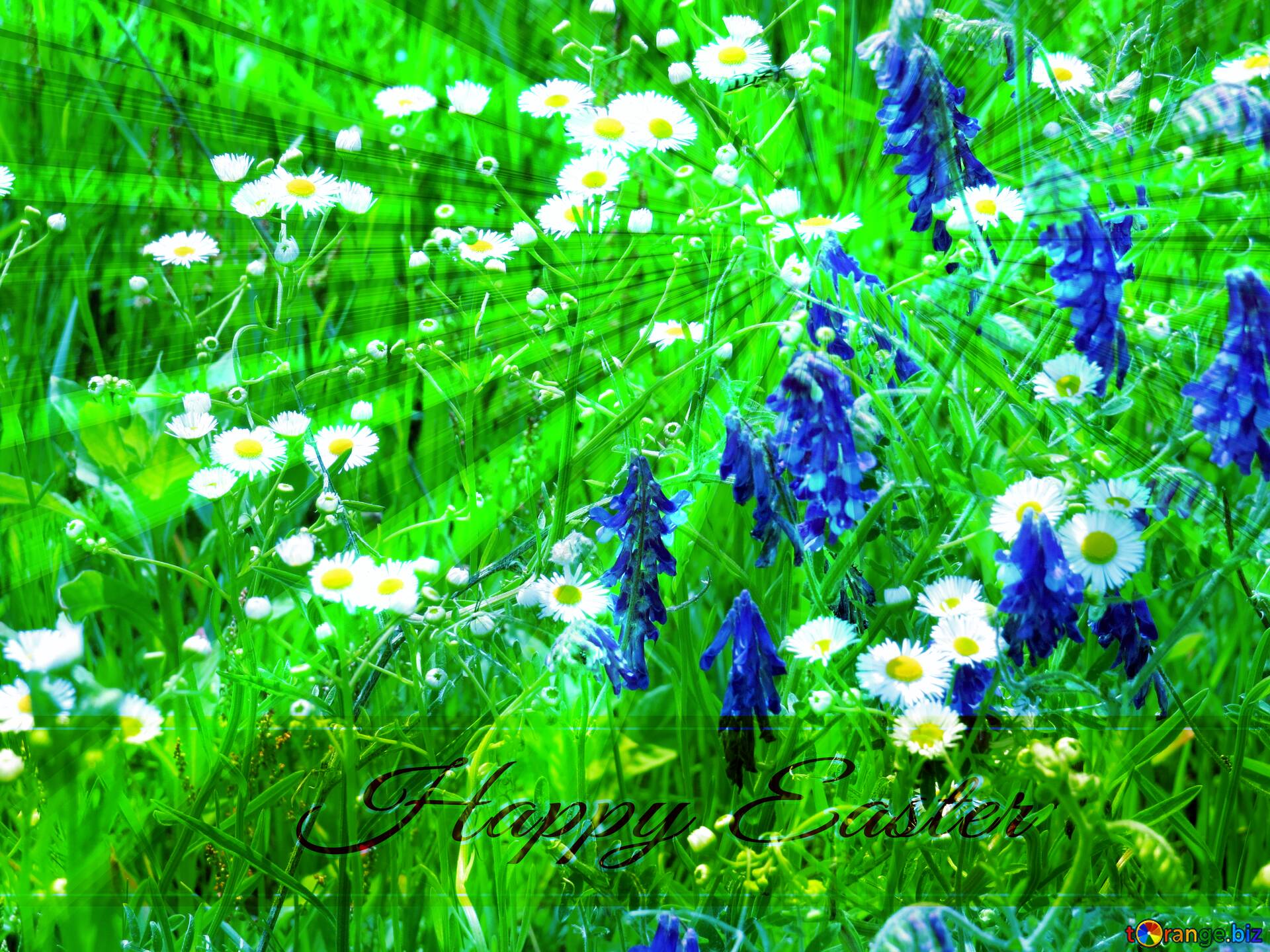 Happy Easter Flowers Desktop Wallpapers - Top Free Happy Easter Flowers ...