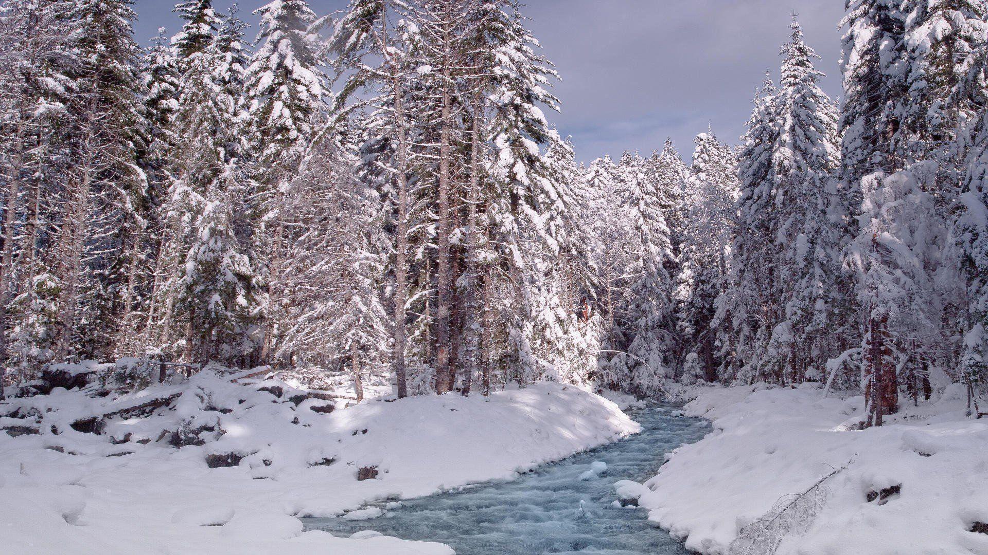 Mount Rainier Winter Wallpapers - Top Free Mount Rainier Winter ...
