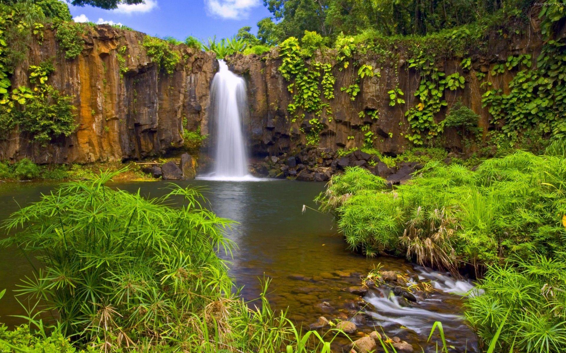 Garden Waterfall Wallpapers - Top Free Garden Waterfall Backgrounds ...