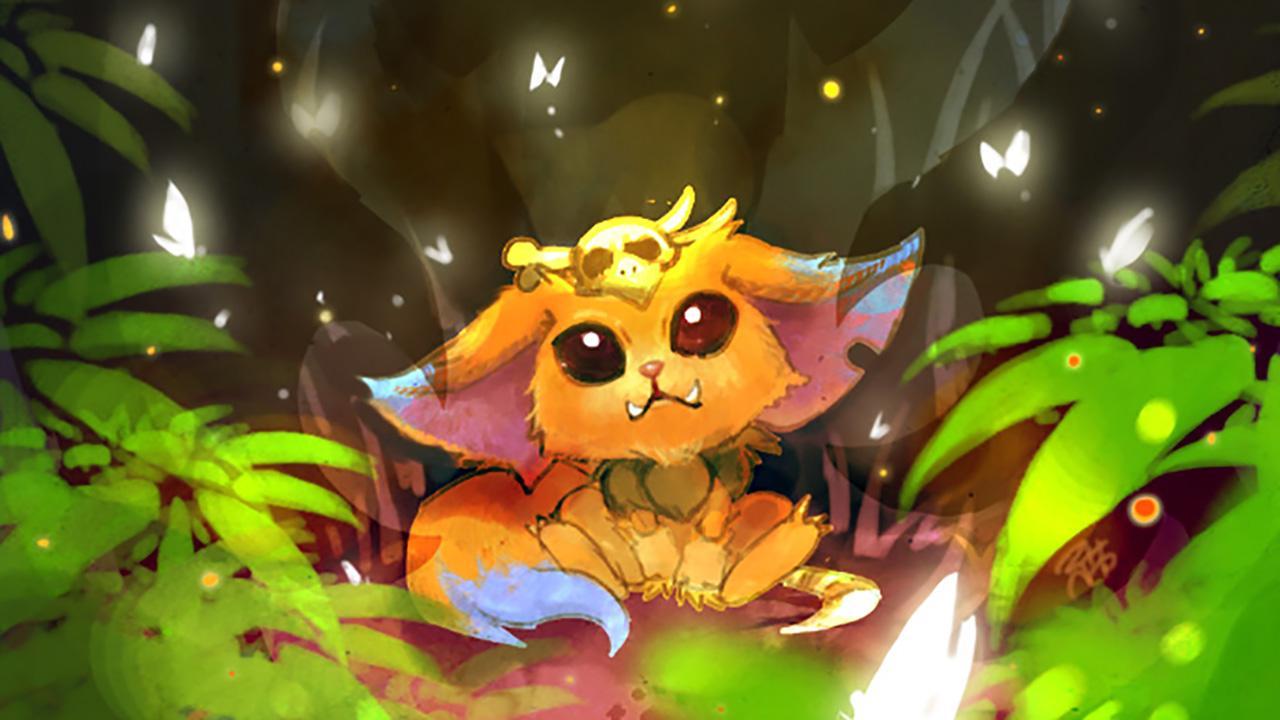 Gnar Wallpapers - Top Free Gnar Backgrounds - WallpaperAccess