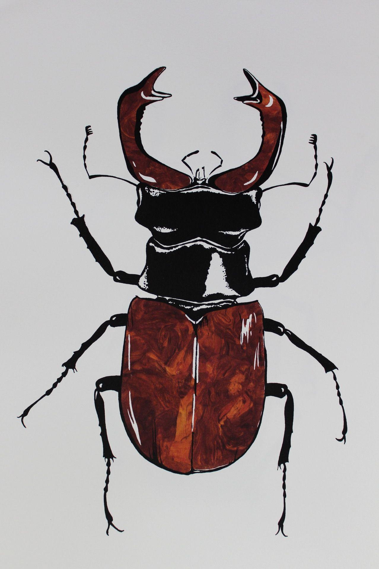 Insect Art Wallpapers - Top Free Insect Art Backgrounds - WallpaperAccess