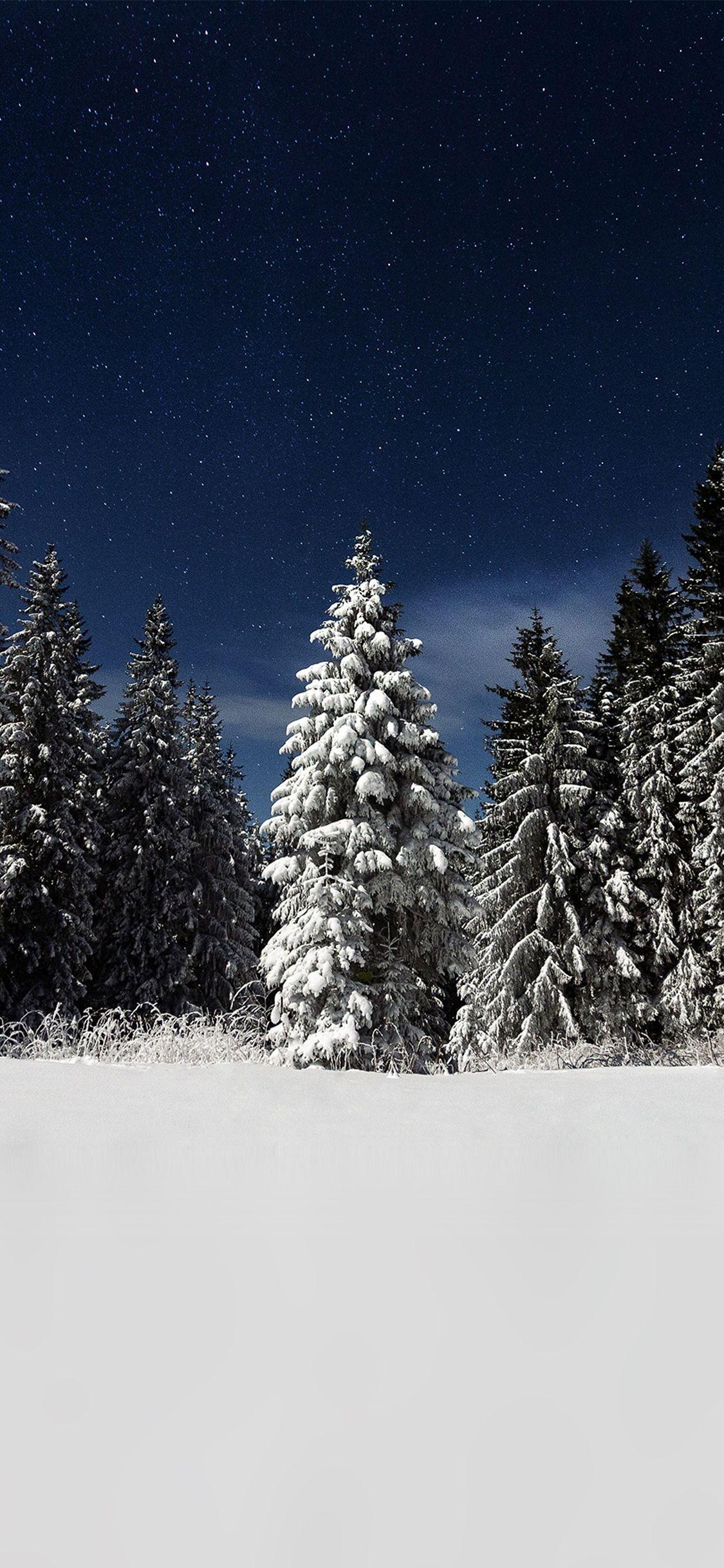 Snowy Winter Night Wallpapers - Top Free Snowy Winter Night Backgrounds ...