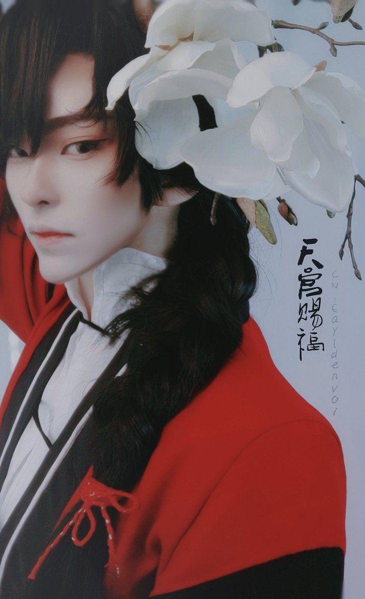 TGCF Wallpapers - Top Free TGCF Backgrounds - WallpaperAccess