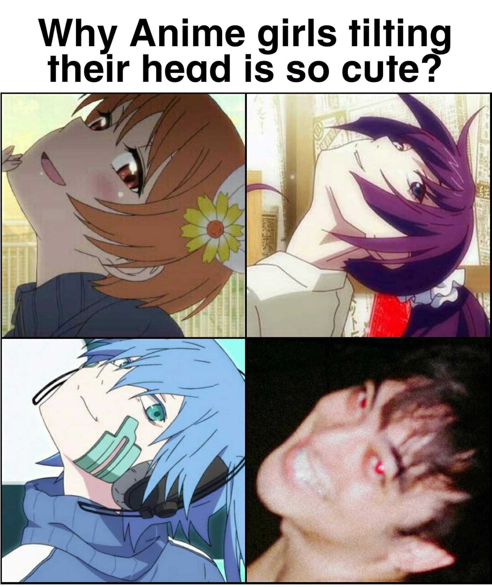 Anime Memes Wallpapers Top Free Anime Memes Backgrounds WallpaperAccess Anime Memes Wallpapers Top Free Anime Memes Backgrounds WallpaperAccess