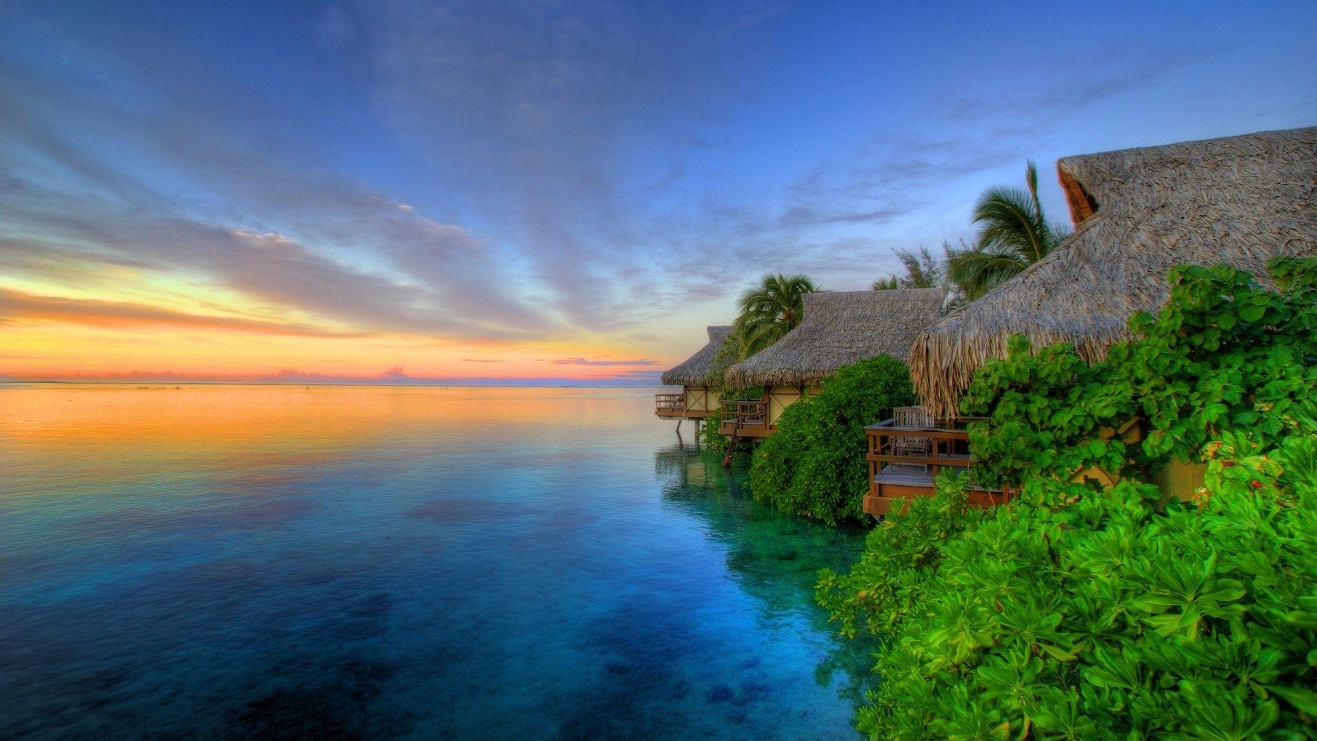 Moorea Wallpapers - Top Free Moorea Backgrounds - WallpaperAccess