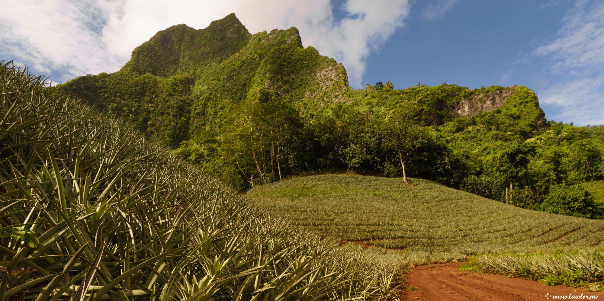 Moorea Wallpapers - Top Free Moorea Backgrounds - WallpaperAccess