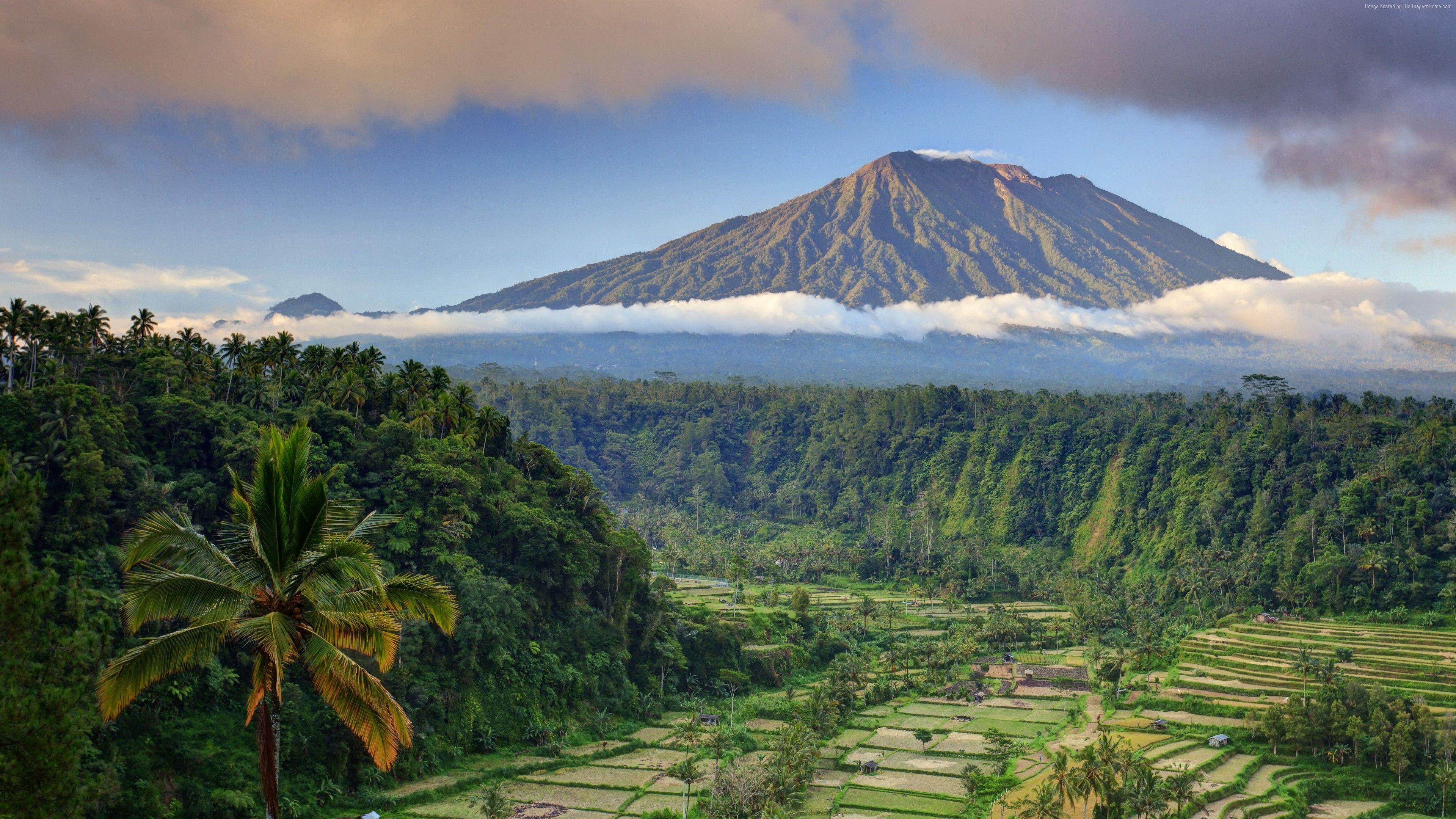 Bali Wallpapers - Top Free Bali Backgrounds - WallpaperAccess