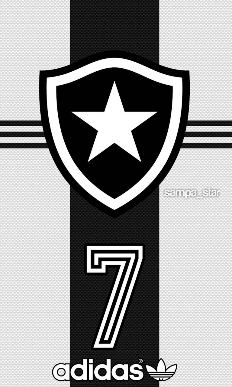 Botafogo Wallpapers - Top Free Botafogo Backgrounds - WallpaperAccess