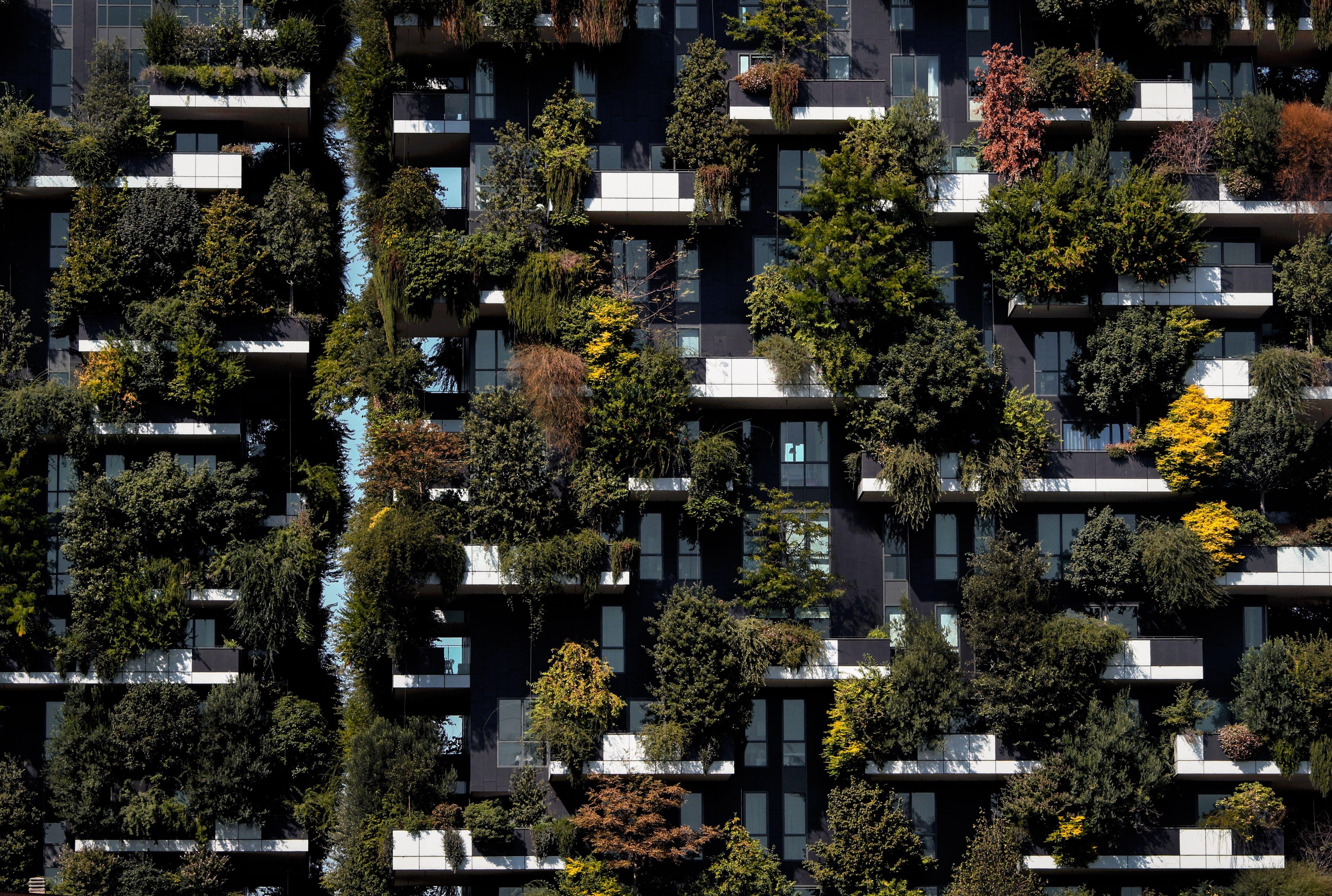 The Neighbourhood PC Wallpapers - Top Free The Neighbourhood PC ...