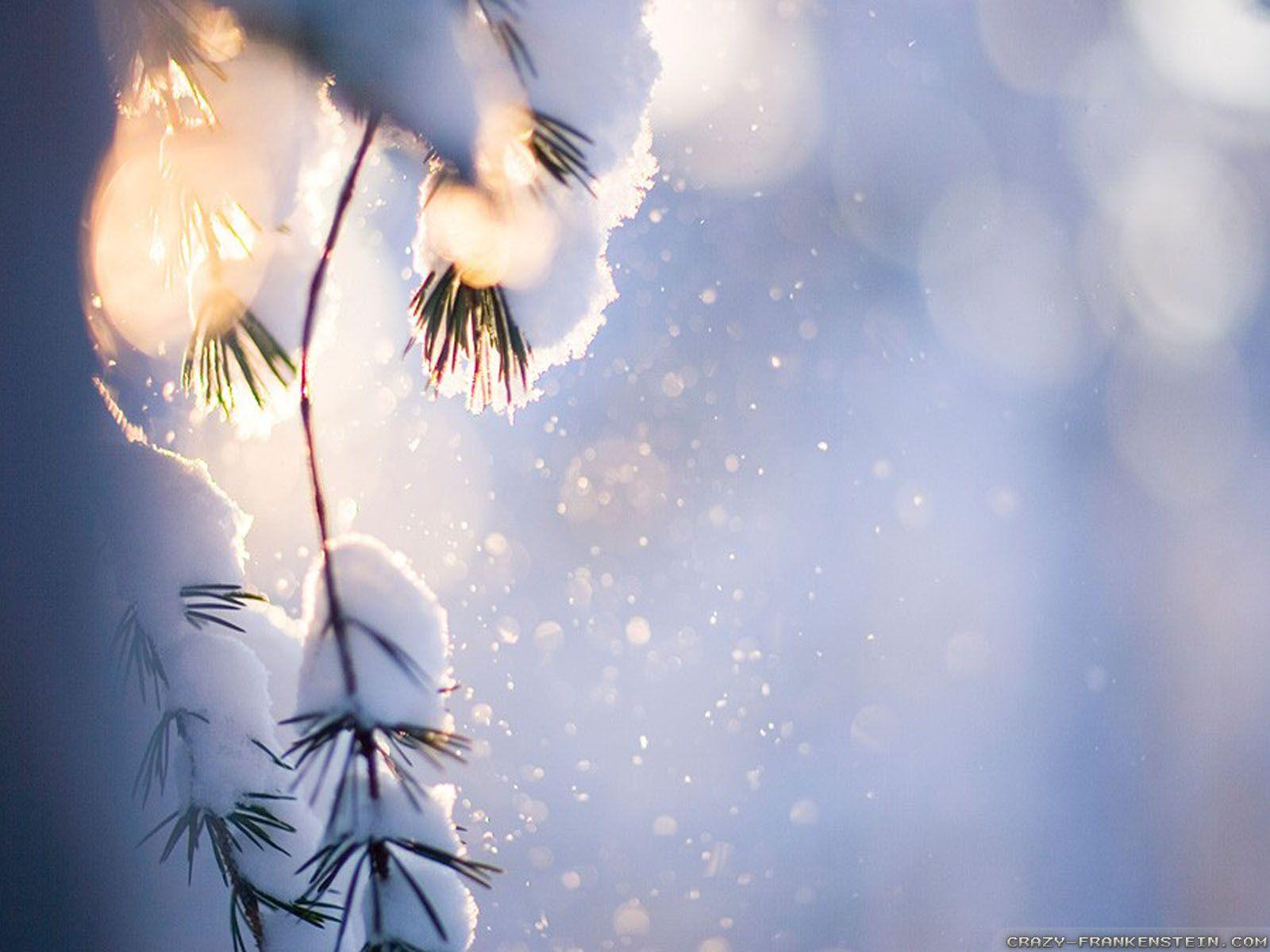 Snowy Day Wallpapers - Top Free Snowy Day Backgrounds - WallpaperAccess