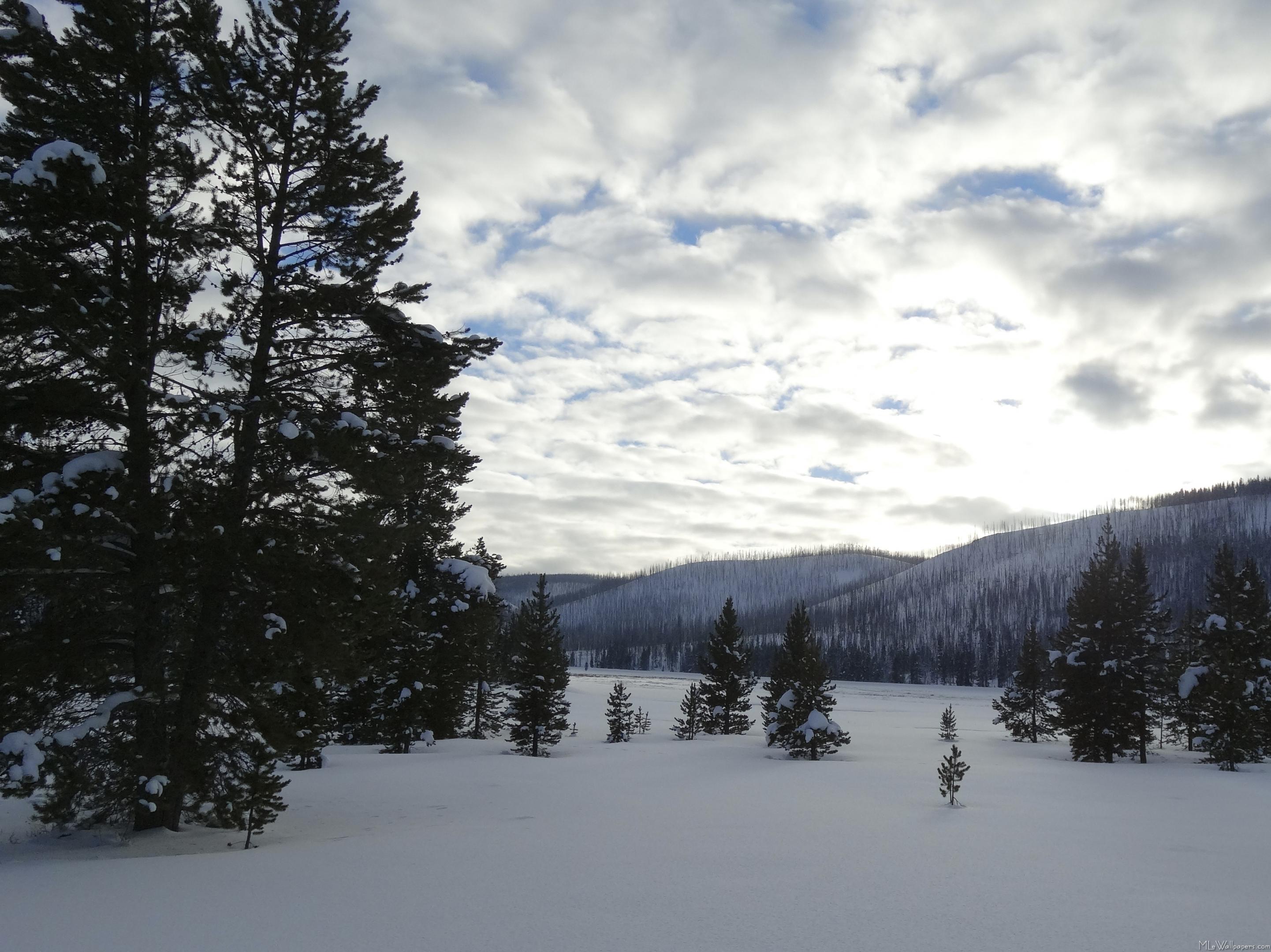 Snowy Day Wallpapers - Top Free Snowy Day Backgrounds - WallpaperAccess