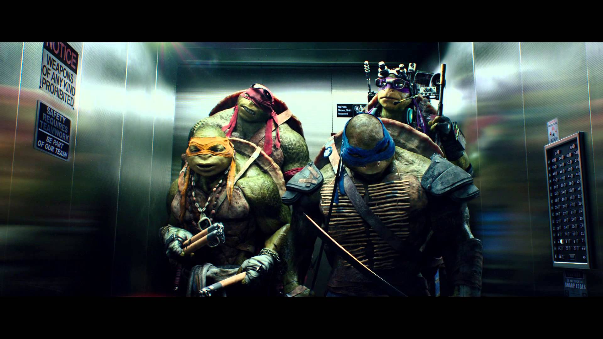 Realistic Ninja Turtles Wallpapers - Top Free Realistic Ninja Turtles ...