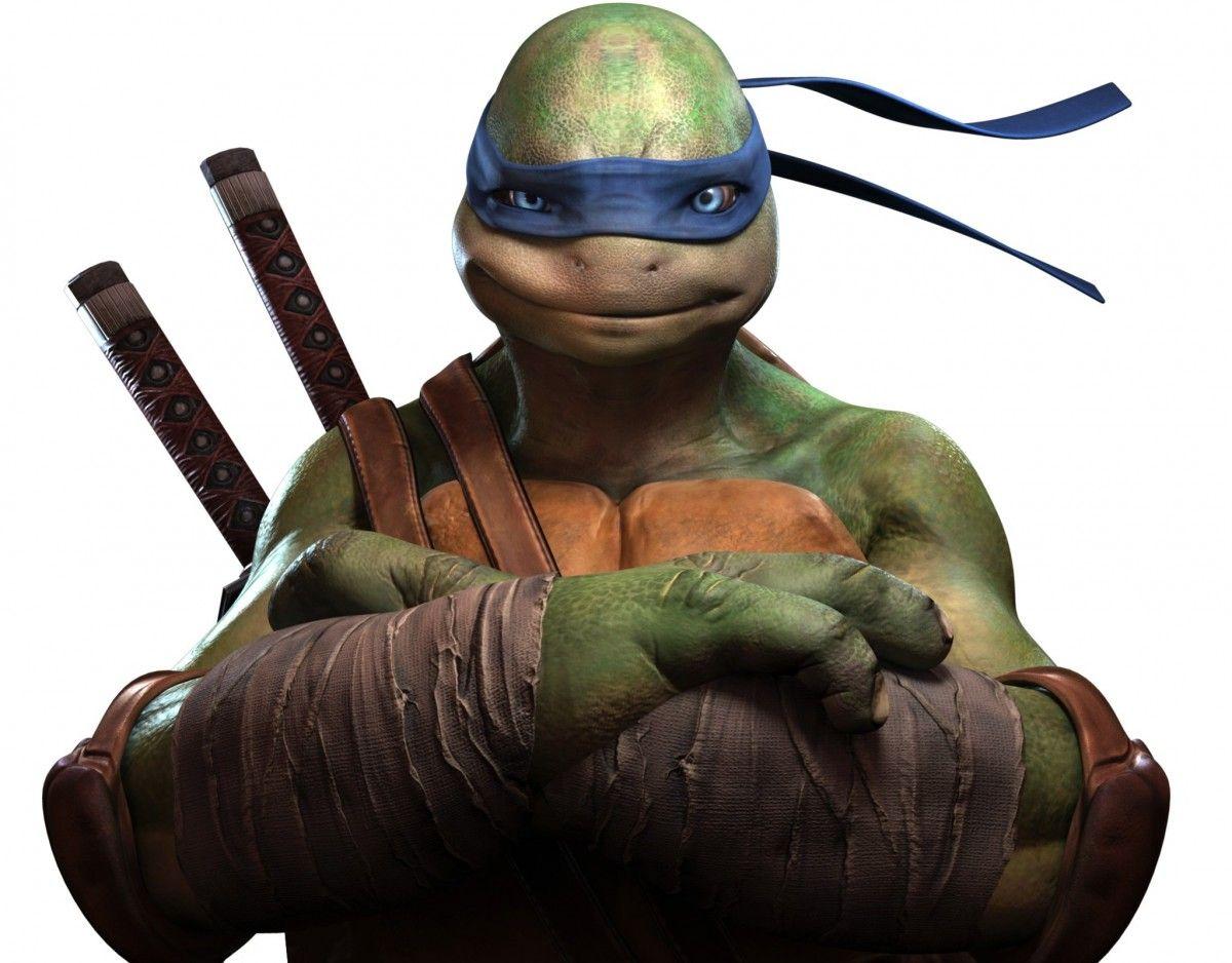 Realistic Ninja Turtles Wallpapers - Top Free Realistic Ninja Turtles ...