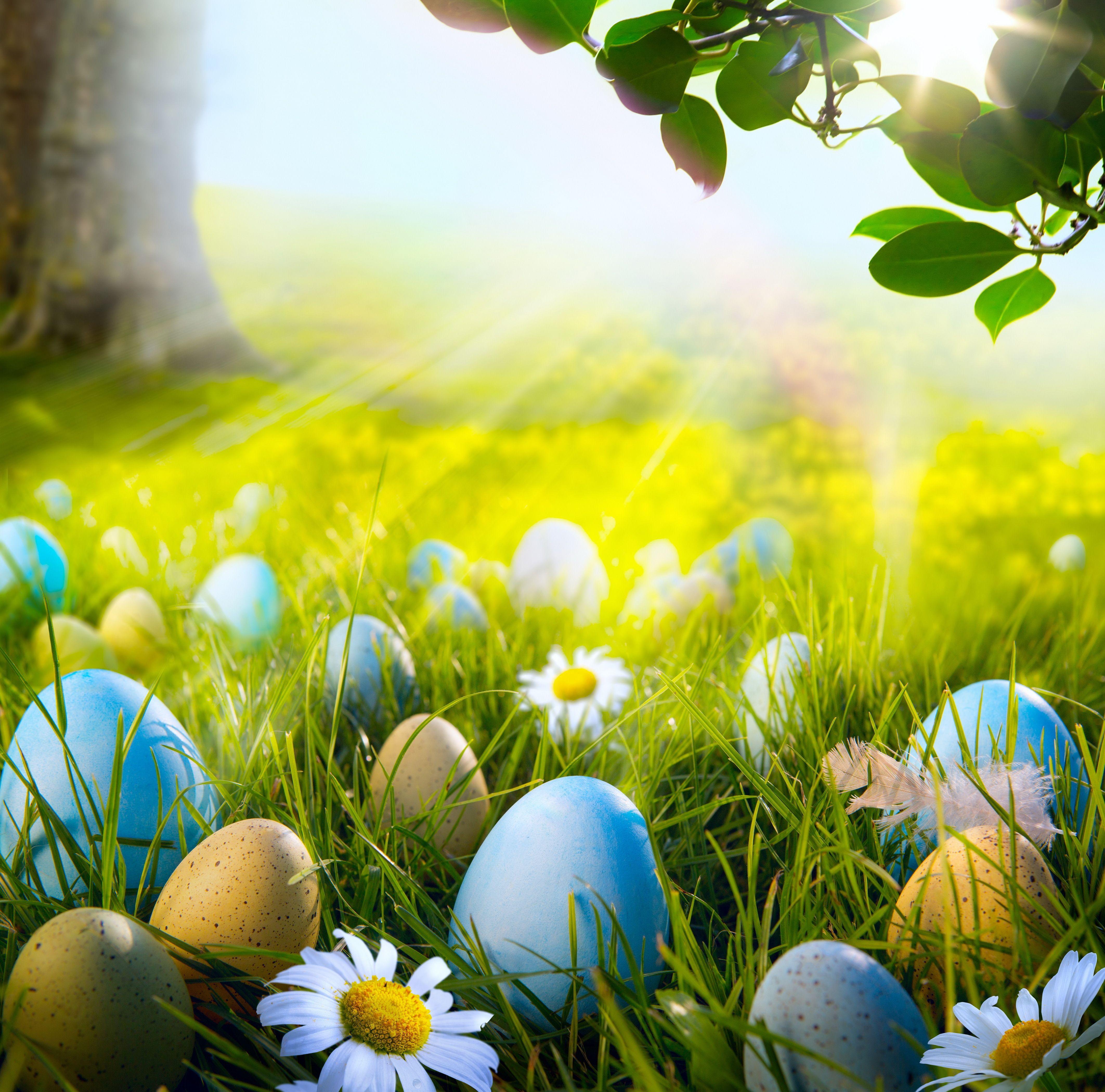 Easter Scenes Wallpapers - Top Free Easter Scenes Backgrounds ...