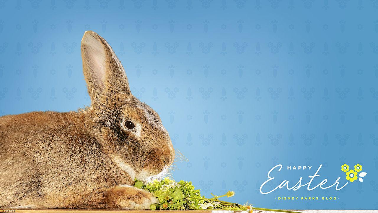 Easter Scenes Wallpapers - Top Free Easter Scenes Backgrounds ...