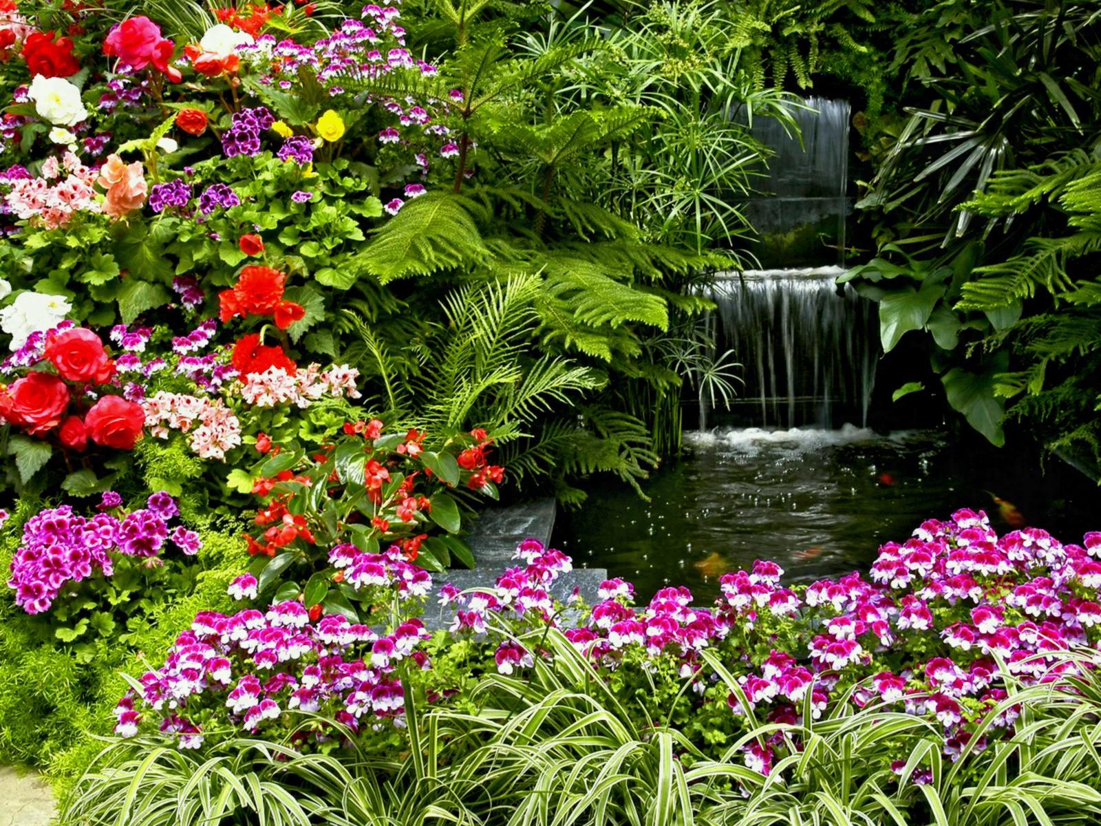 Backyard Gardens Wallpapers - Top Free Backyard Gardens Backgrounds ...