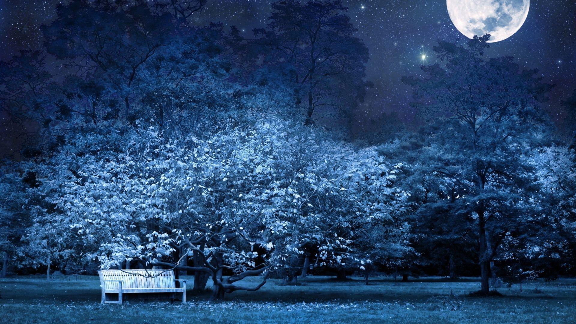 Night Park Wallpapers - Top Free Night Park Backgrounds - WallpaperAccess