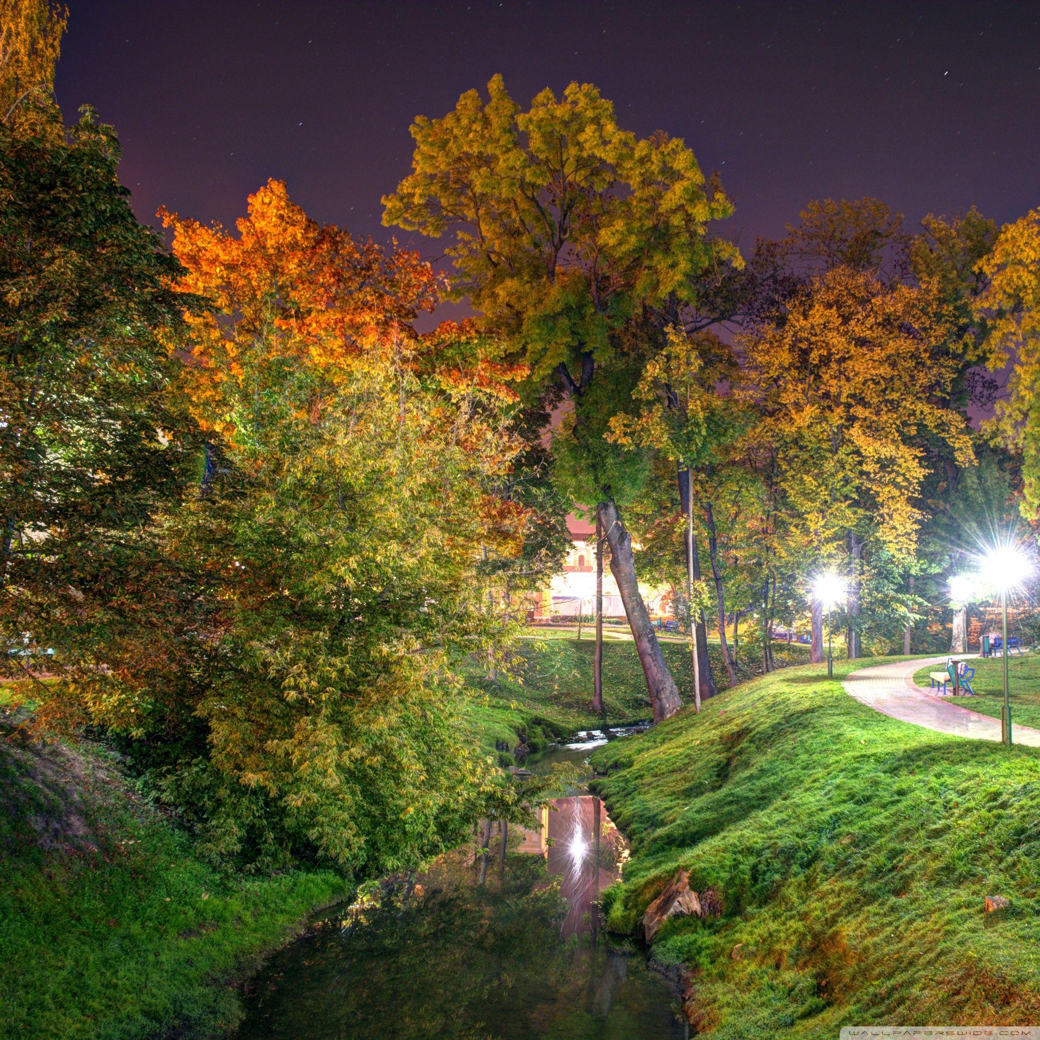 Night Park Wallpapers - Top Free Night Park Backgrounds - WallpaperAccess