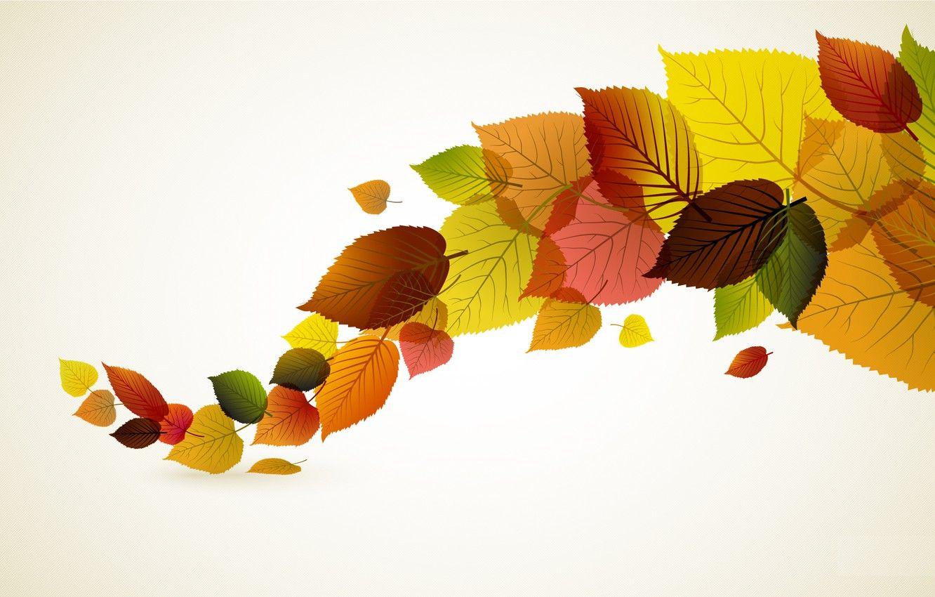 Autumn Minimalist Wallpapers - Top Free Autumn Minimalist Backgrounds ...