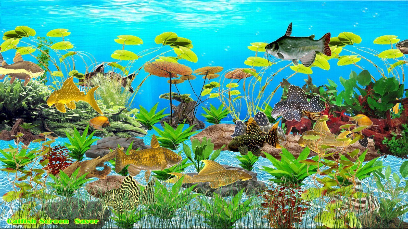 Tropical Aquarium Wallpapers - Top Free Tropical Aquarium Backgrounds ...