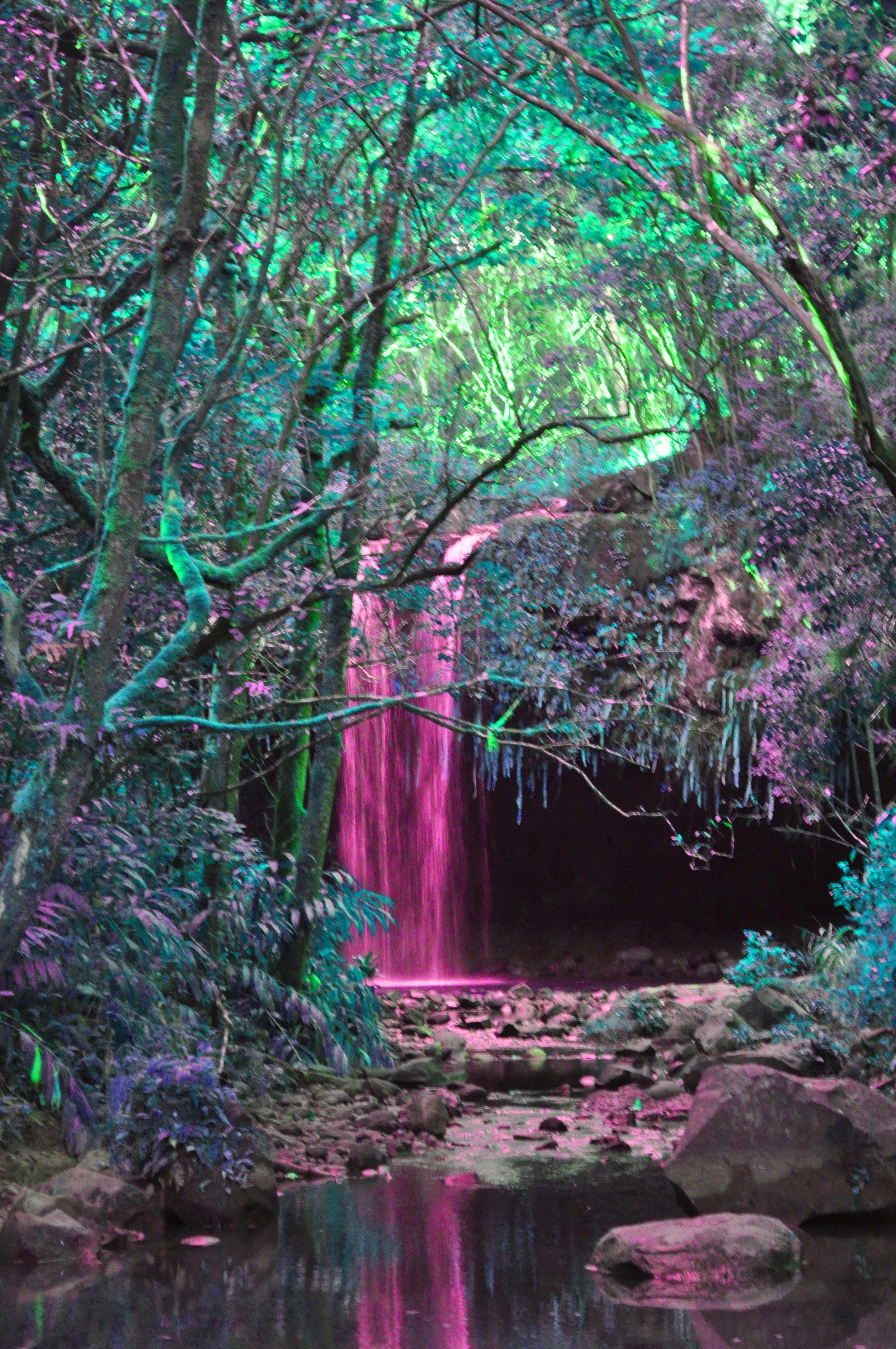 Trippy Forest Wallpapers - Top Free Trippy Forest Backgrounds ...