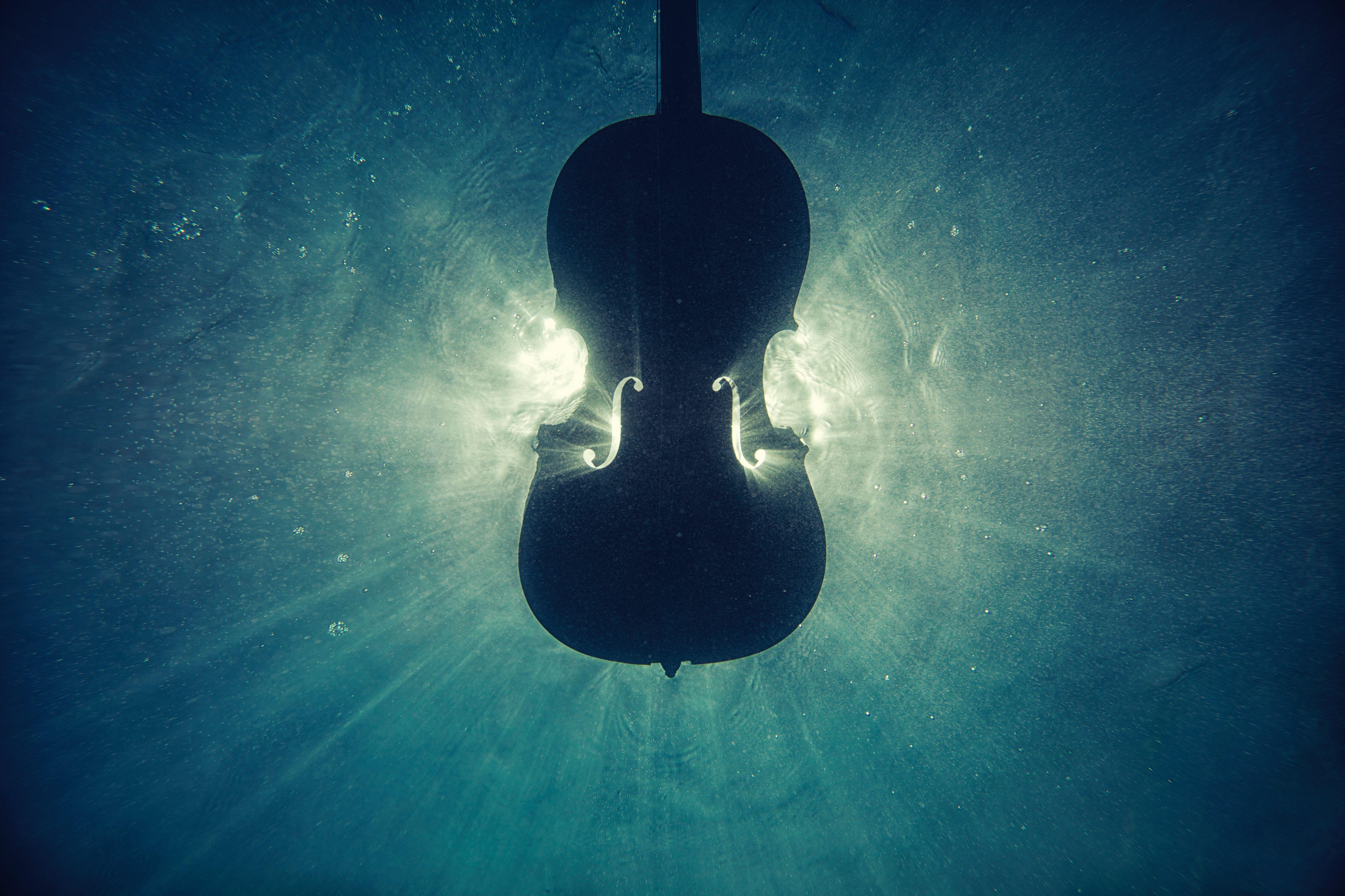 Fiddle Wallpapers - Top Free Fiddle Backgrounds - WallpaperAccess