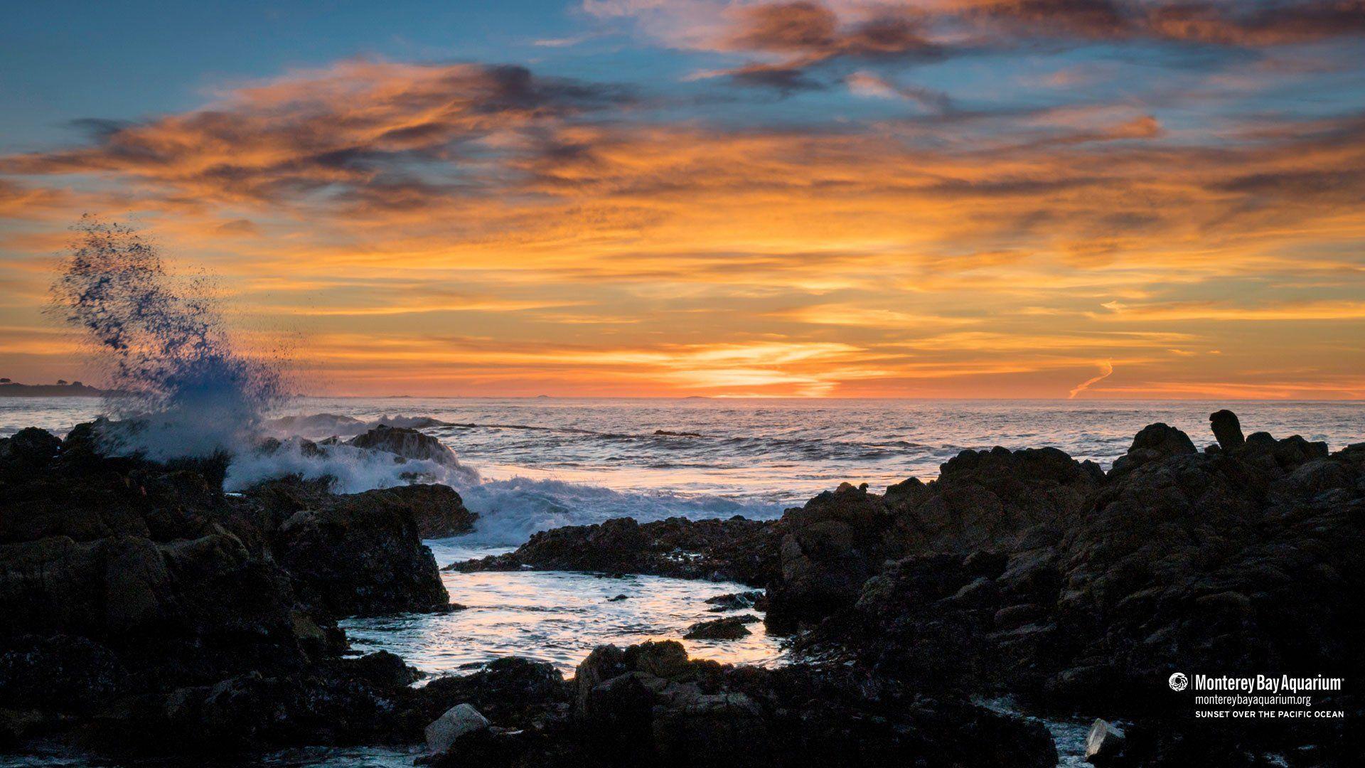 Monterey California Wallpapers - Top Free Monterey California ...