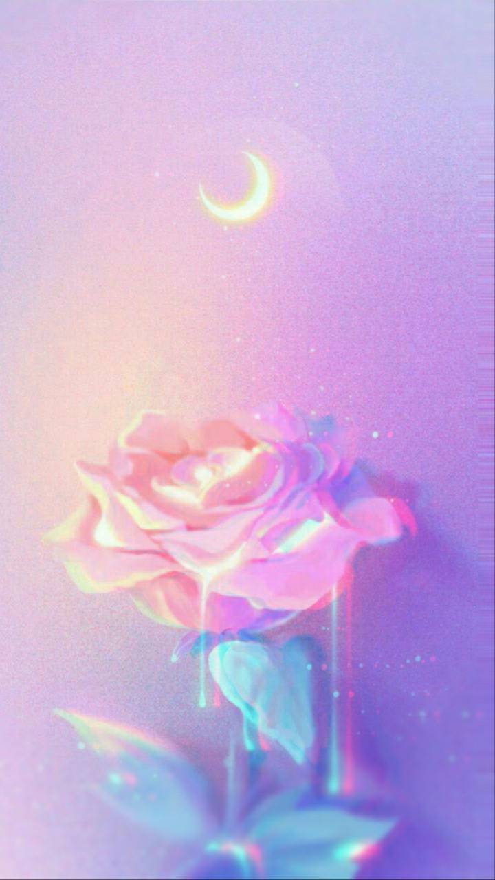 Rose Glitch Wallpapers - Top Free Rose Glitch Backgrounds - WallpaperAccess