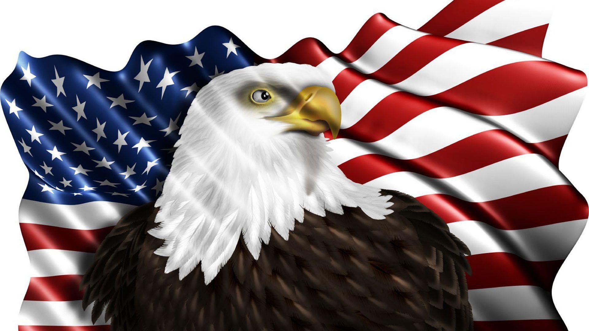 Patriotic Bald Eagle Wallpapers - Top Free Patriotic Bald Eagle ...