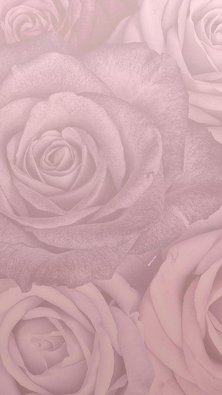 Rose Tablet Wallpapers - Top Free Rose Tablet Backgrounds - WallpaperAccess