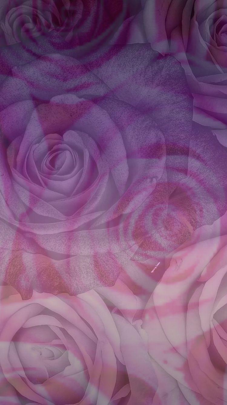 Rose Tablet Wallpapers - Top Free Rose Tablet Backgrounds - WallpaperAccess