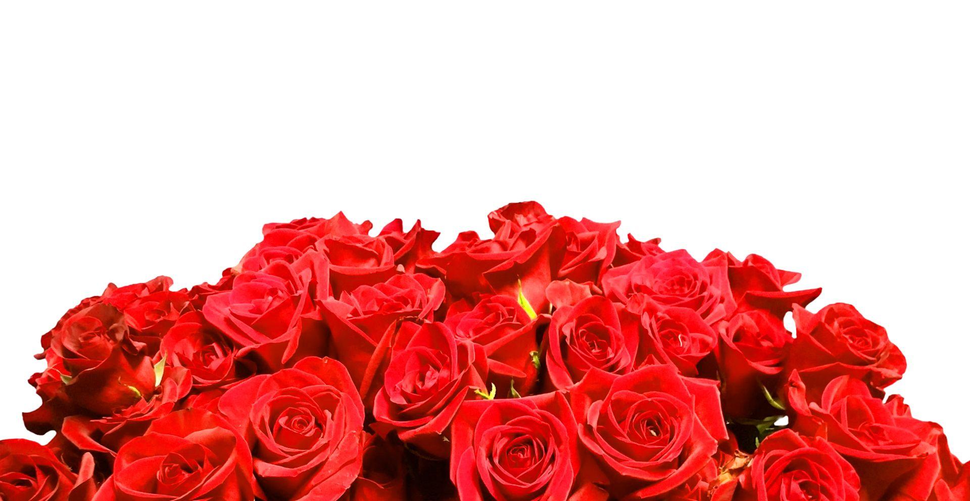 Rose Tablet Wallpapers - Top Free Rose Tablet Backgrounds - WallpaperAccess