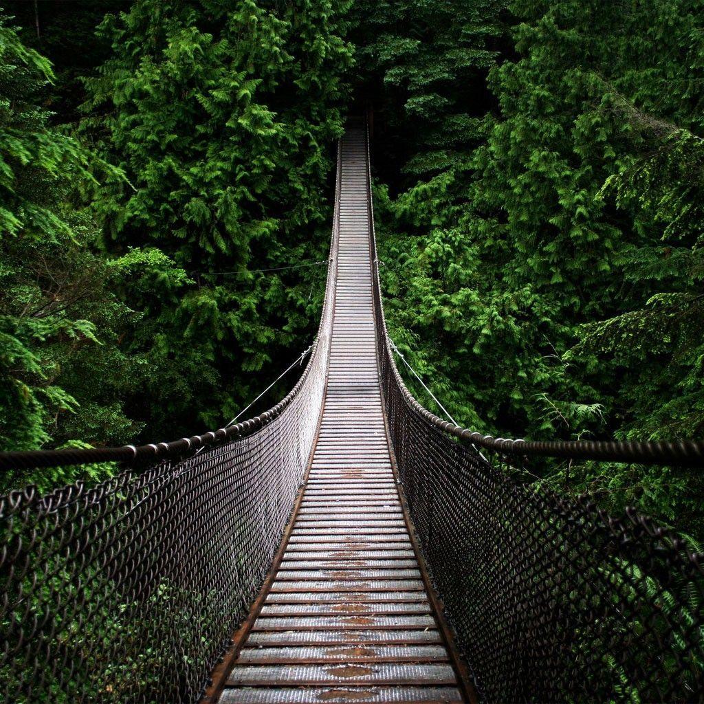 Amazon Tablet Wallpapers - Top Free Amazon Tablet Backgrounds ...