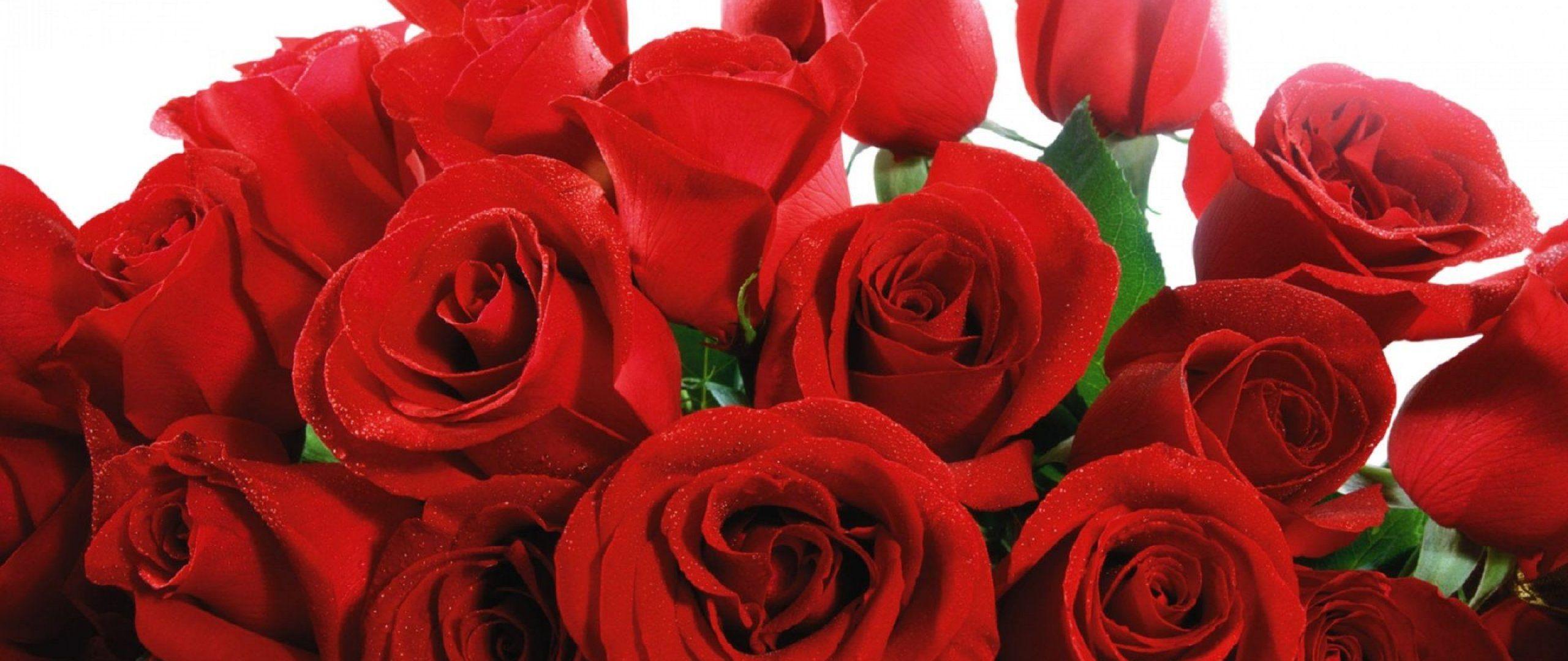 Rose Tablet Wallpapers - Top Free Rose Tablet Backgrounds - WallpaperAccess